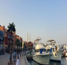 Ägypten Ausflüge Aktivitäten Touren Sehenswürdigkeiten | Zakharious Tours